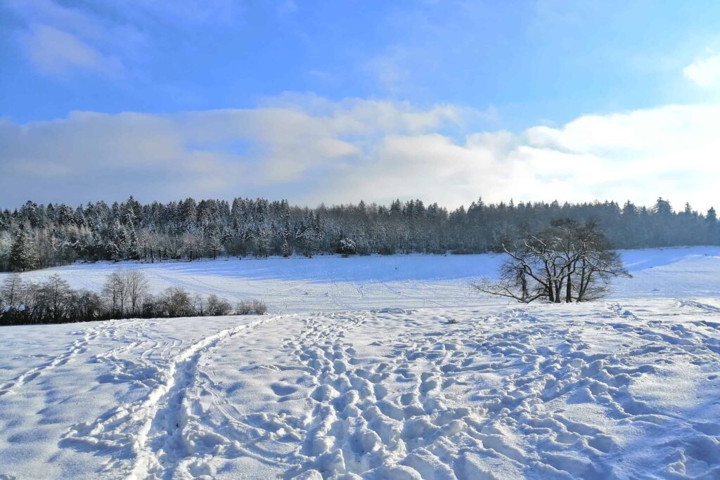 Swiss winter weather and the best snow months: complete guide
