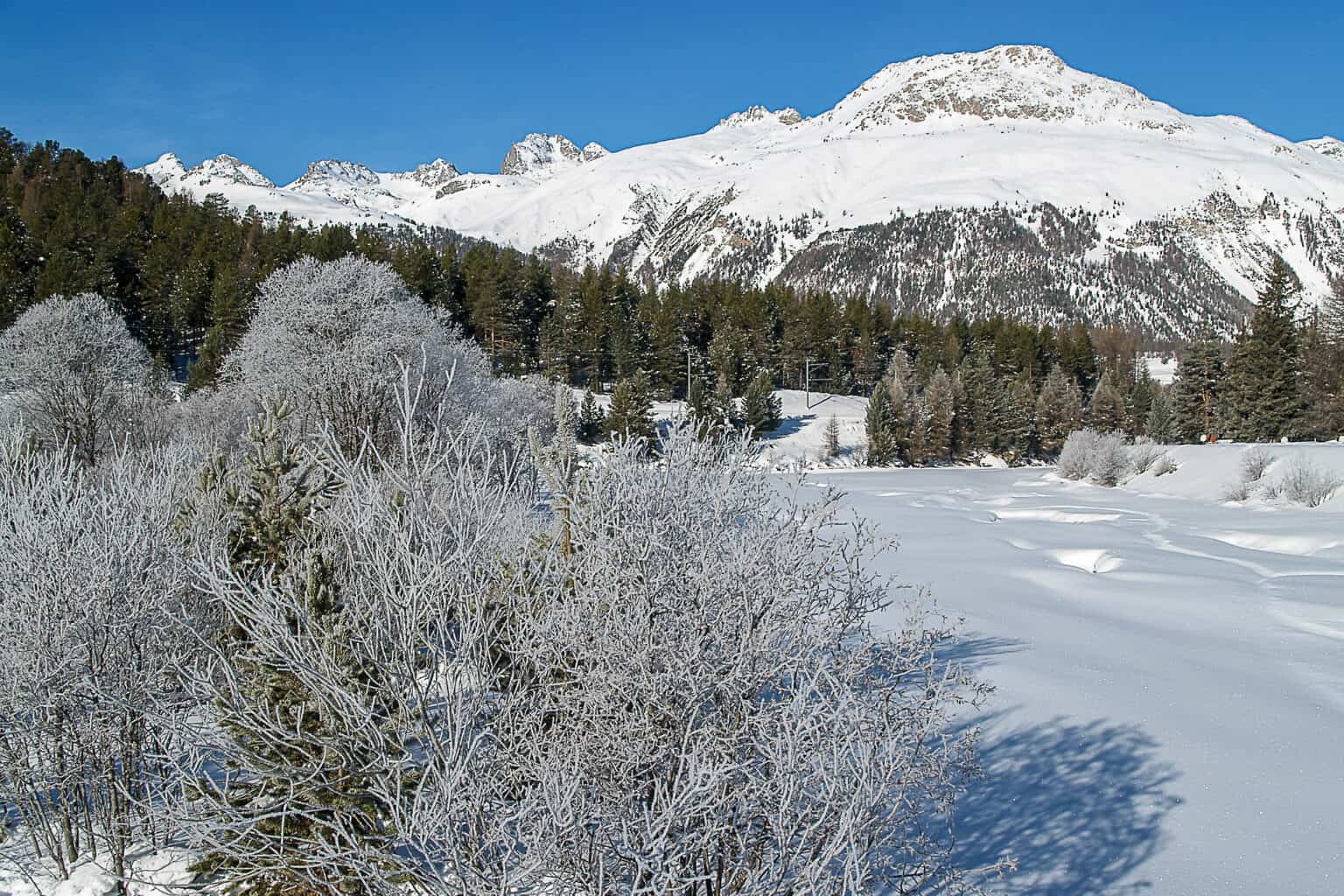 Swiss winter weather and the best snow months: complete guide