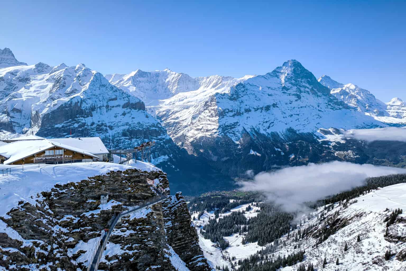Grindelwald-First 2026 guide: prices, tickets, route, adventure ...