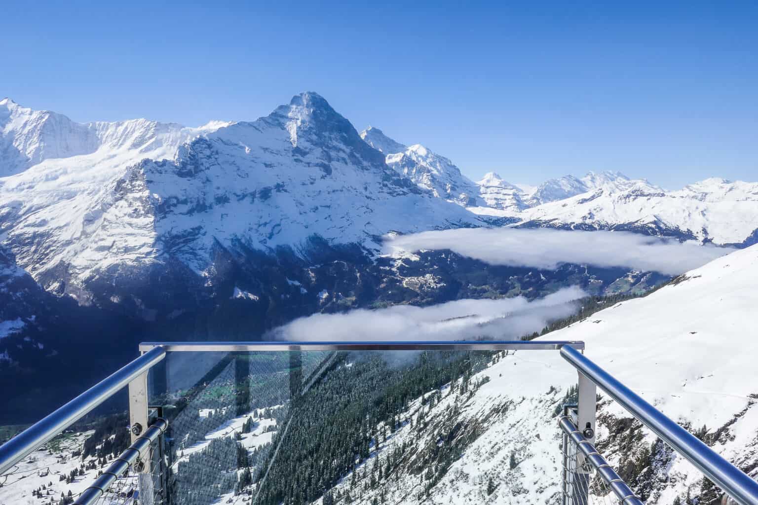 Grindelwald-First 2026 guide: prices, tickets, route, adventure ...