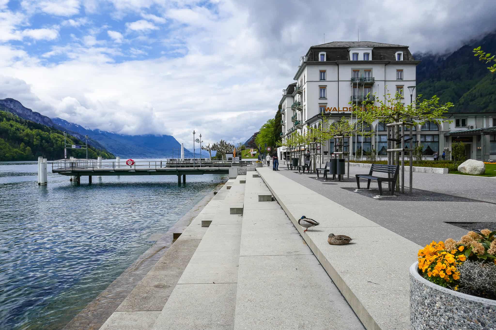 Eine Schifffahrt auf dem Vierwaldstättersee: alles über Routen, Flotte, Preise und Rabatte