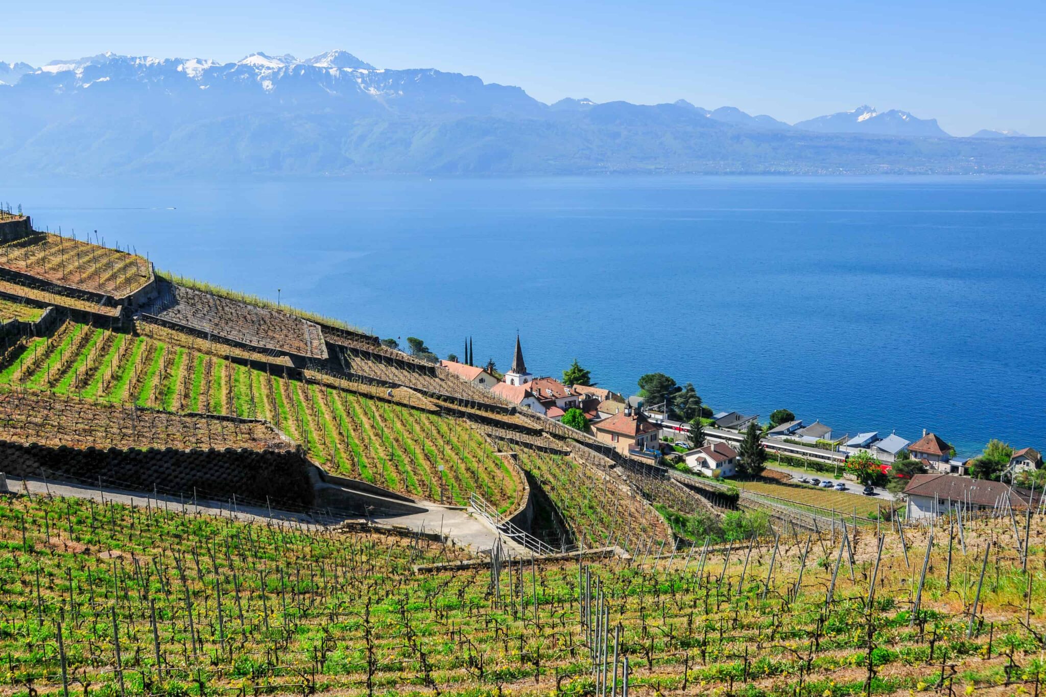 How to plan your Lake Geneva boat trip: routes, prices and practical tips