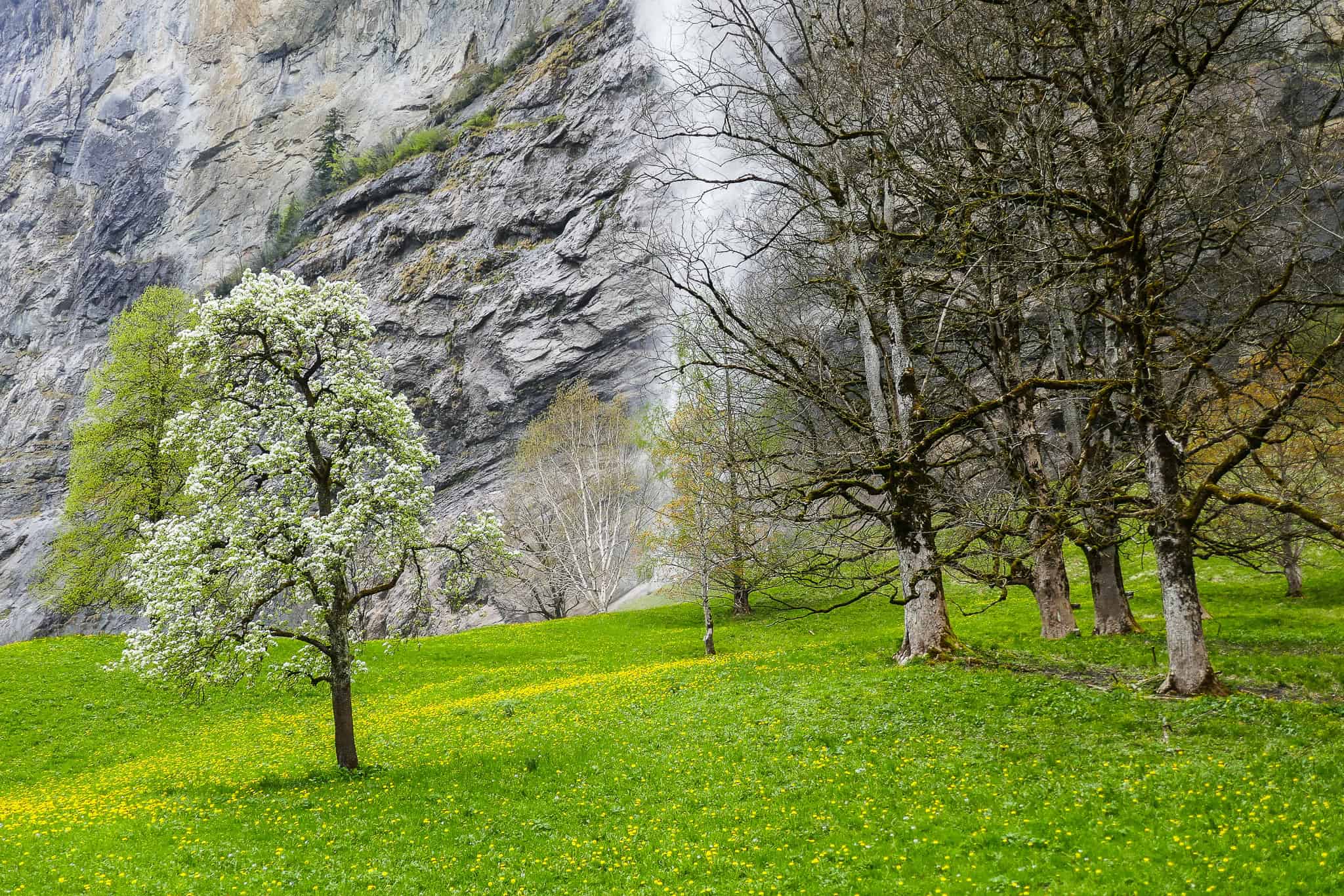 Lauterbrunnen in the Jungfrau Region - travel guide with my honest review