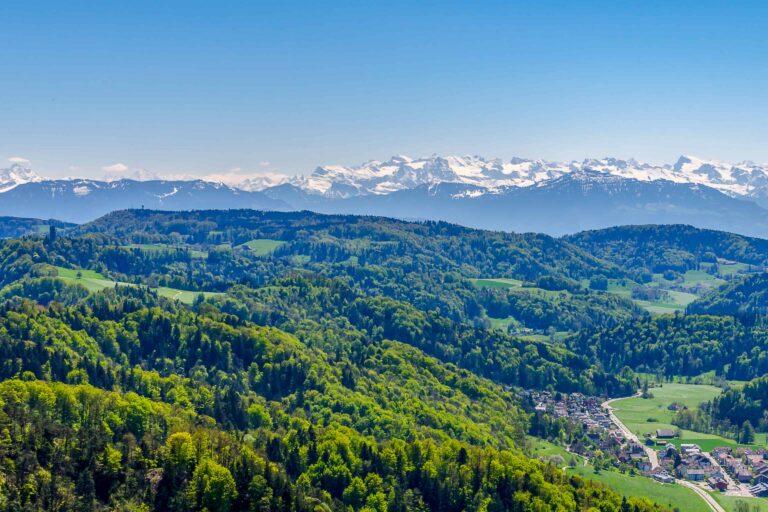Zürcher Panoramawanderung: vom Uetliberg zur Felsenegg